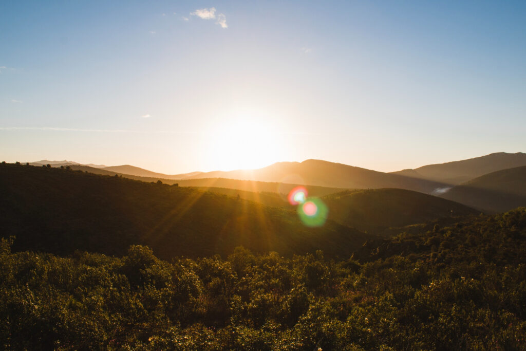 What Is Lens Flare and How To Avoid